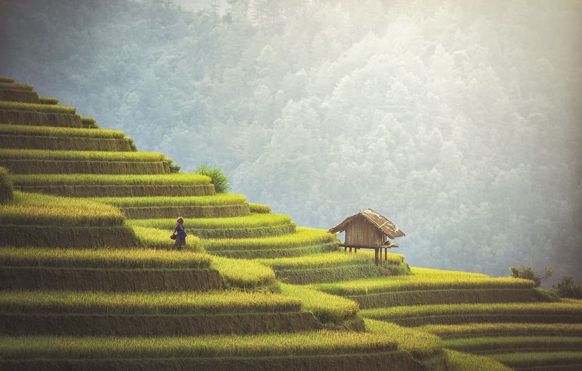 AIDA Weltreise 2025: 133 Tage Abenteuer mit AIDAdiva ab €24.145 p.P.